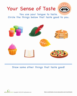 Teaching Sense of Taste to Kids - Five Senses - HubPages
