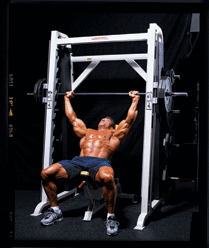 Bodybuilder Gunter Workout Routine - HubPages
