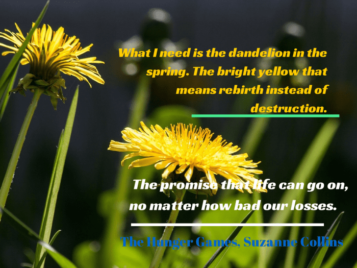 50 Great and Wise Sayings About Life: Quotes, Proverbs and Mantras That ...