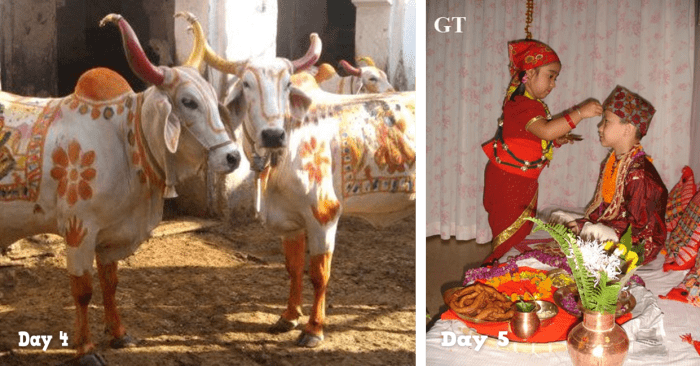 Kukur Tihar Festival: The Hindu Tradition of Dog Worship in Nepal ...