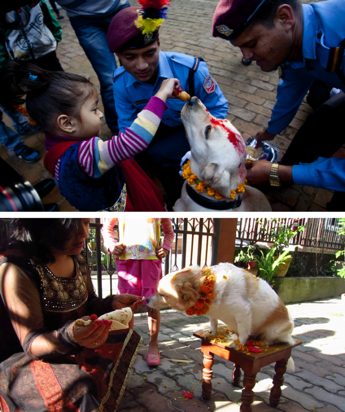 Kukur Tihar Festival: The Hindu Tradition of Dog Worship in Nepal ...