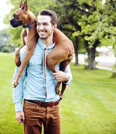 10 Best Dogs for Single Living Men - HubPages