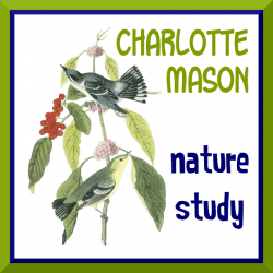 Nature Study -- Charlotte Mason Style - HubPages