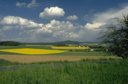 'We'll All Be Rooned' - HubPages