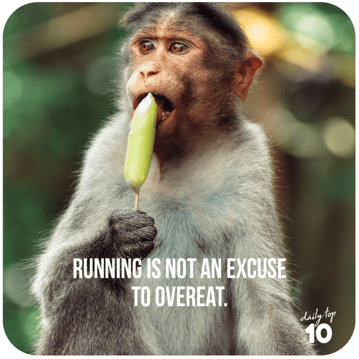 Top 10 Best Running Tips for Beginners with Pictures! - HubPages