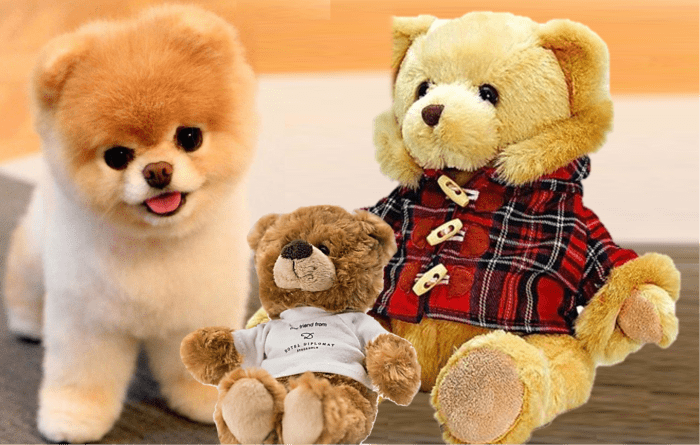 Types of Pomeranians: Dog Breed Information - HubPages