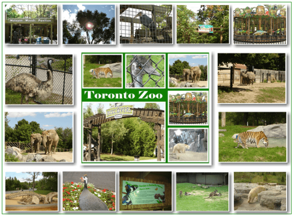 Toronto Zoo Canada - HubPages