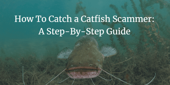 How to Catch a Catfish Scammer: A Step-by-Step Guide - HubPages