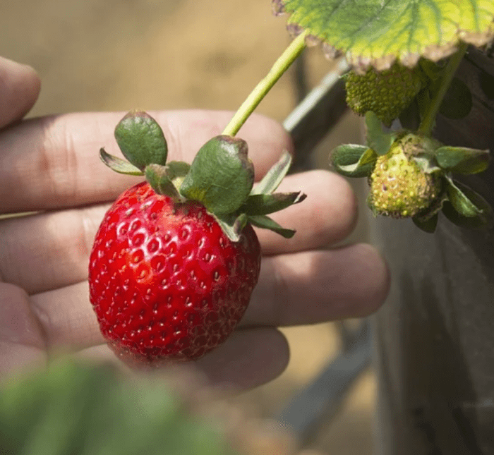 How to Draw Every Day: 4 Keys to Starting the Daily Routine - HubPages