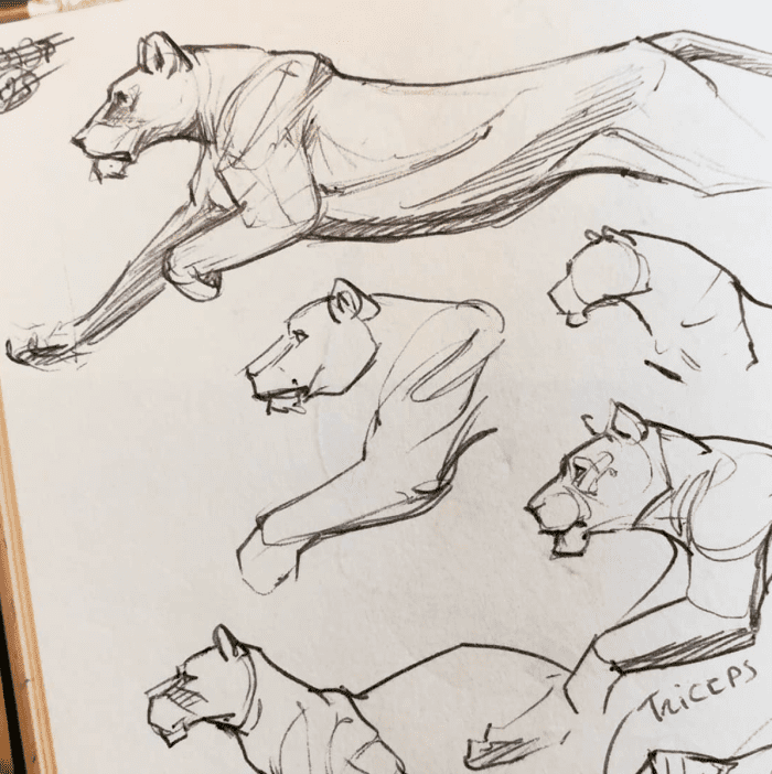 How to Draw Every Day: 4 Keys to Starting the Daily Routine - HubPages