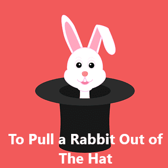 20 Rabbit Idioms Explained - HubPages