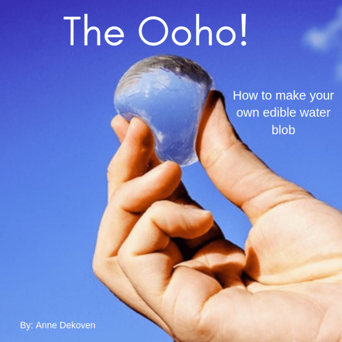 How to Make an Ooho the Edible Water Blob - HubPages