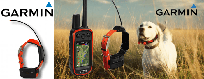 15 Best Monthly Subscription Free GPS Pet Trackers - HubPages