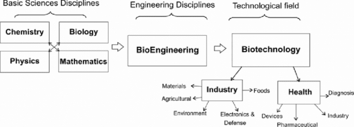 Biochemical Engineering-Introduction, History, Scope and Applications - HubPages