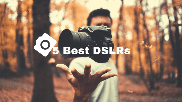 Top 5 Best Dslr Cameras of All Time-2020 - HubPages