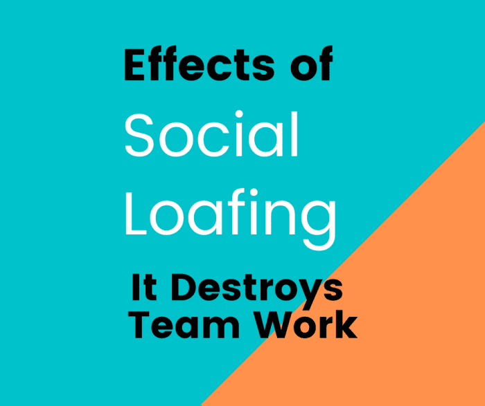 5 Reasons Why Social Loafing Impacts Team Work and Projects - HubPages