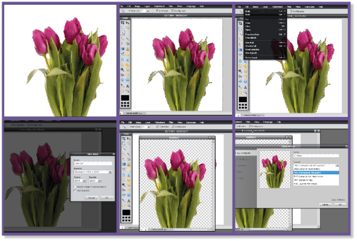 Create a Transparent Image Background Using Pixlr - HubPages