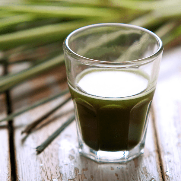 How To Grow Wheatgrass at Home (With Recipes) - HubPages