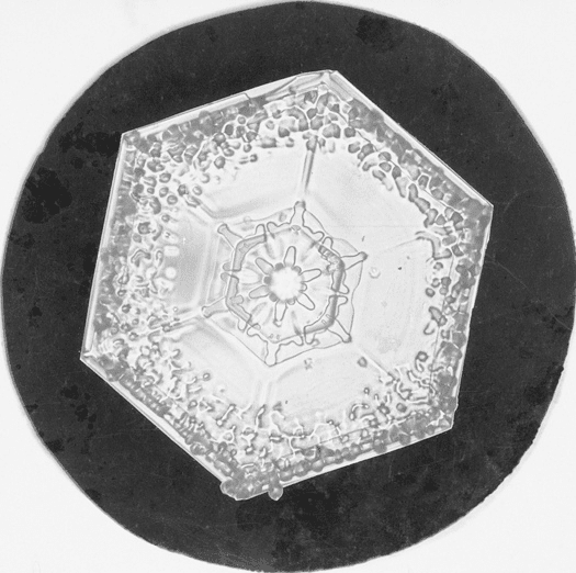 Types Of Snowflakes and Their Different Patterns - HubPages