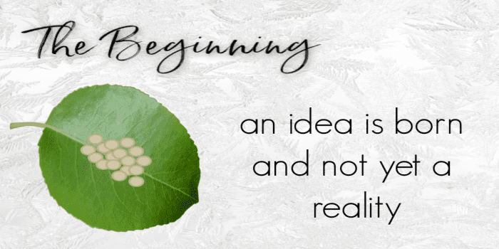 Butterfly: Analogy for a Joyful Dance of Life - HubPages