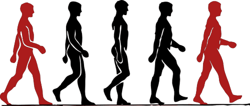 Discrete vs Continuous vs Serial Motor Skills - HubPages