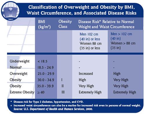 Risk of Obesity Charts and Posters - HubPages