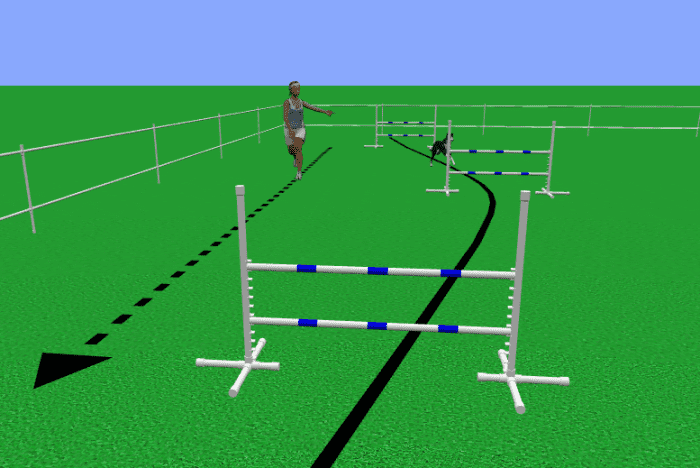 How to Train the "Out" Directional in Agility - Part Two in "The ...
