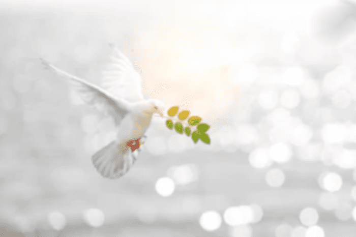 In Times Like These—Hope, Through Faith & Prayer - HubPages