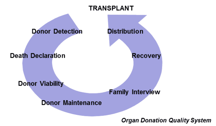 What Is Organ Donation? Why You Should Do It? List of Celebrities Who ...