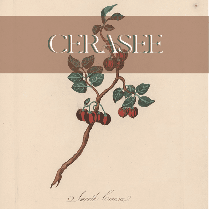 Cerasee: All About This Little-Known Medicinal Weed - HubPages