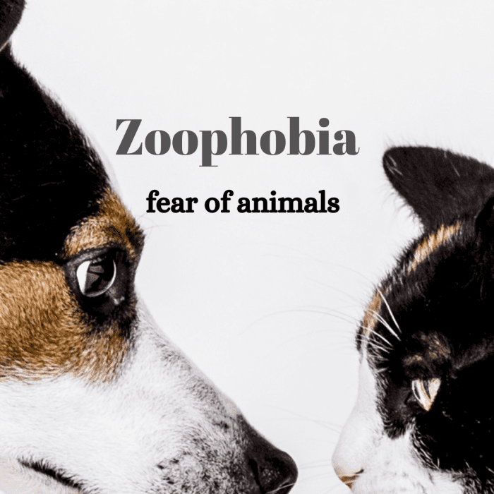 A Comprehensive List of Phobias and Obscure Fears - HubPages