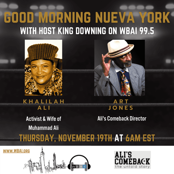 ‘Ali’s Comeback’ - HubPages