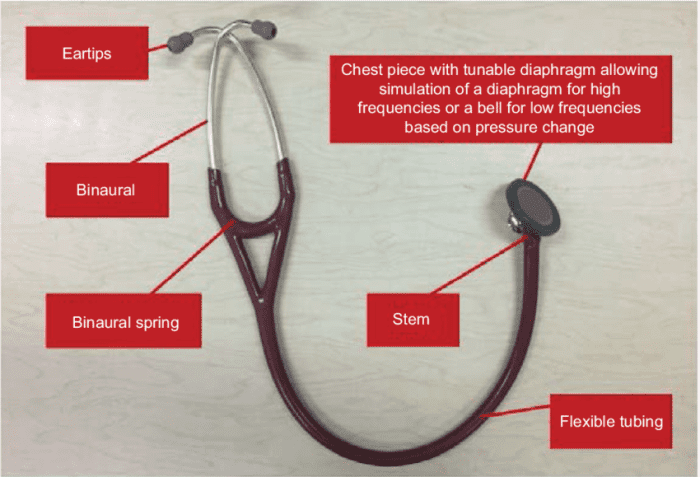 The Stethoscope - HubPages