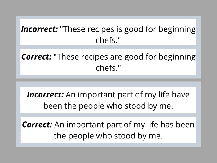 5 Common Grammatical Errors Every Writer Should Avoid (with Exercise ...