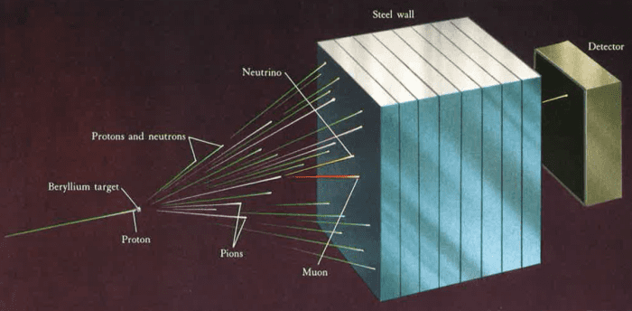 What Are the Three Different Types (Flavors) of Neutrinos? - HubPages