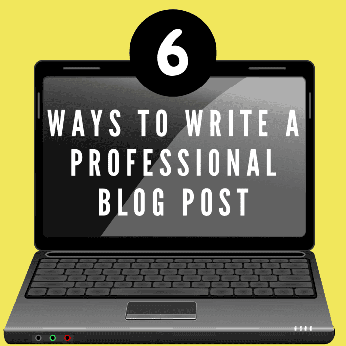 Top 6 Steps to Write a Blog Post Like a Professional - HubPages