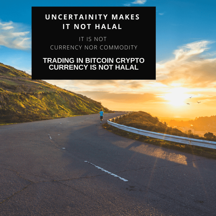 Bitcoin and Crypto Currency not Halal - HubPages