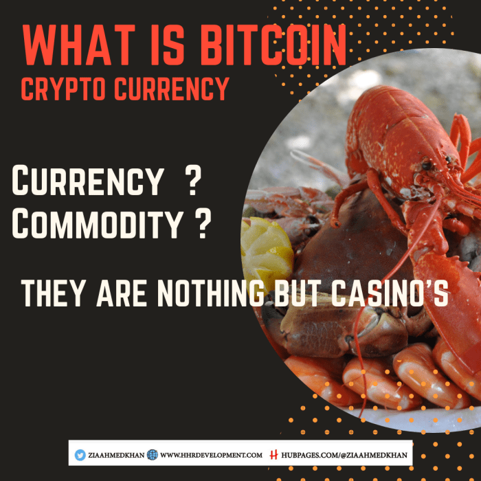 Bitcoin and Crypto Currency not Halal - HubPages