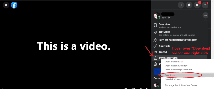 How to Download Video from Facebook to Computer - HubPages
