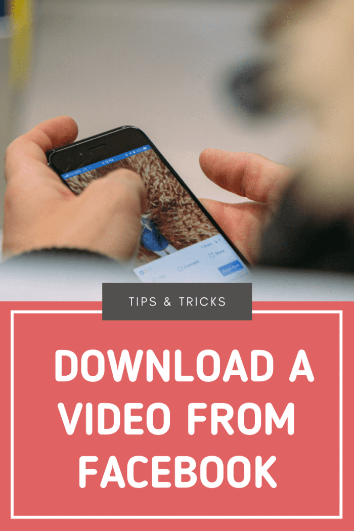 How to Download Video from Facebook to Computer - HubPages