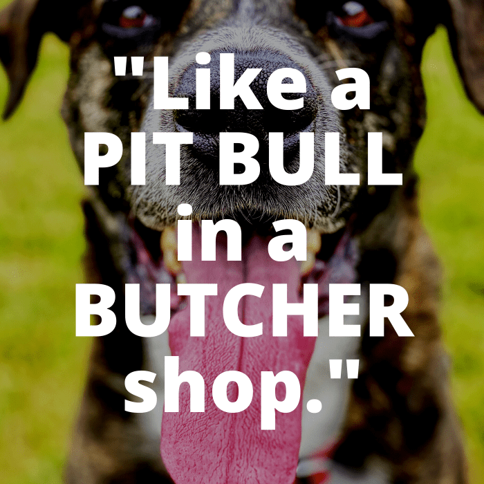 150+ Funny and Witty Answers to the Question "How Are You?" - HubPages