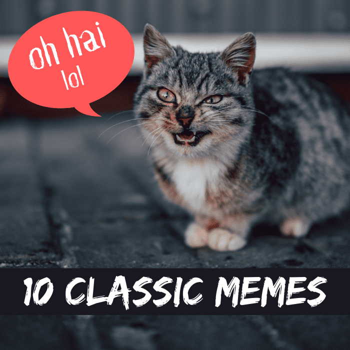 Top 10 Classic Internet Memes - HubPages