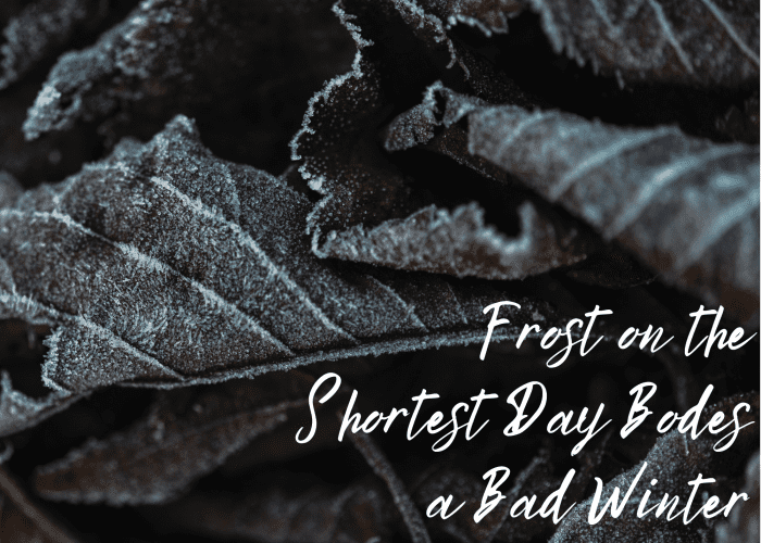 Common Winter Idioms, Adages, Quotes, Sayings and Proverbs - HubPages