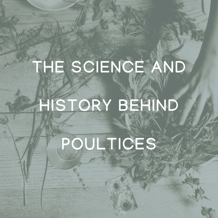 How to Make a Poultice for Removing Splinters, Boils and Abscesses ...