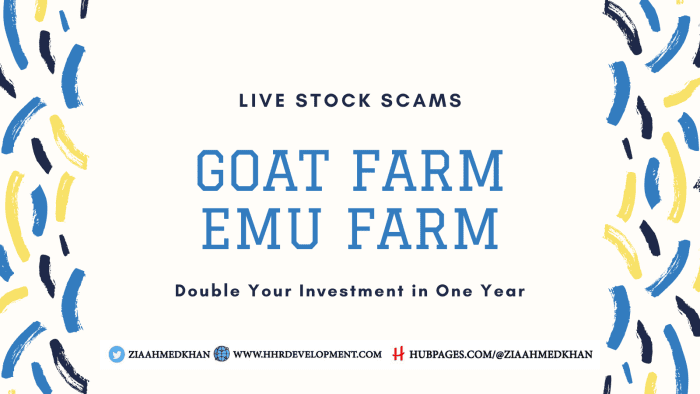 How to Protect from Investment Scam - HubPages