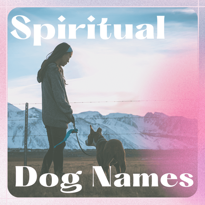 150 Meaningful, Mystical and Spiritual Names for Dogs - HubPages
