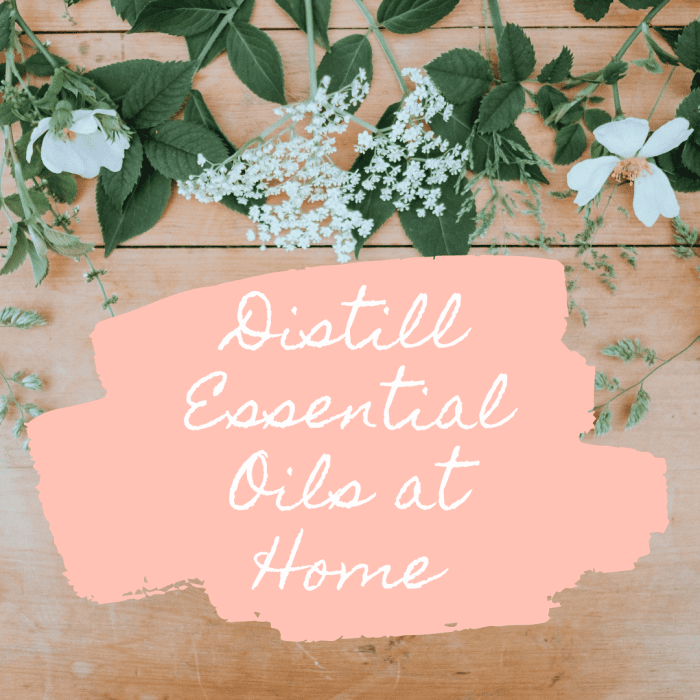 How to Distill Essential Oils - RemedyGrove