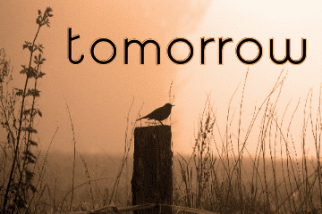 Word Prompts Help Creativity ~ Week 6 (Tomorrow) - HubPages