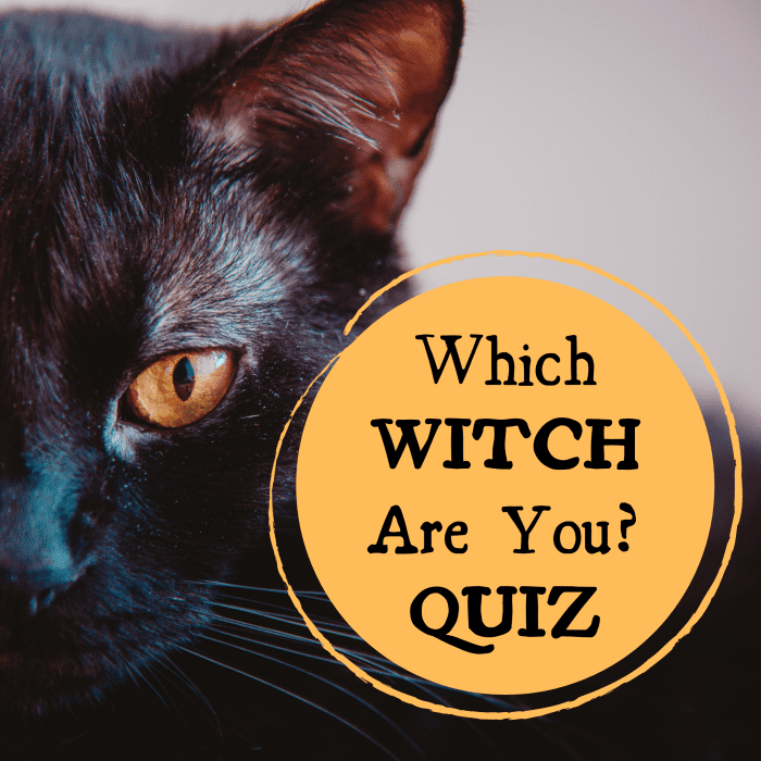 Quiz: Which Fictional Witch Are You? - HubPages