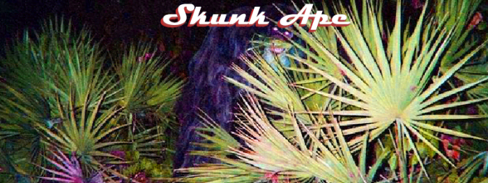 Top 7 Cryptids Prowling Around Florida - HubPages